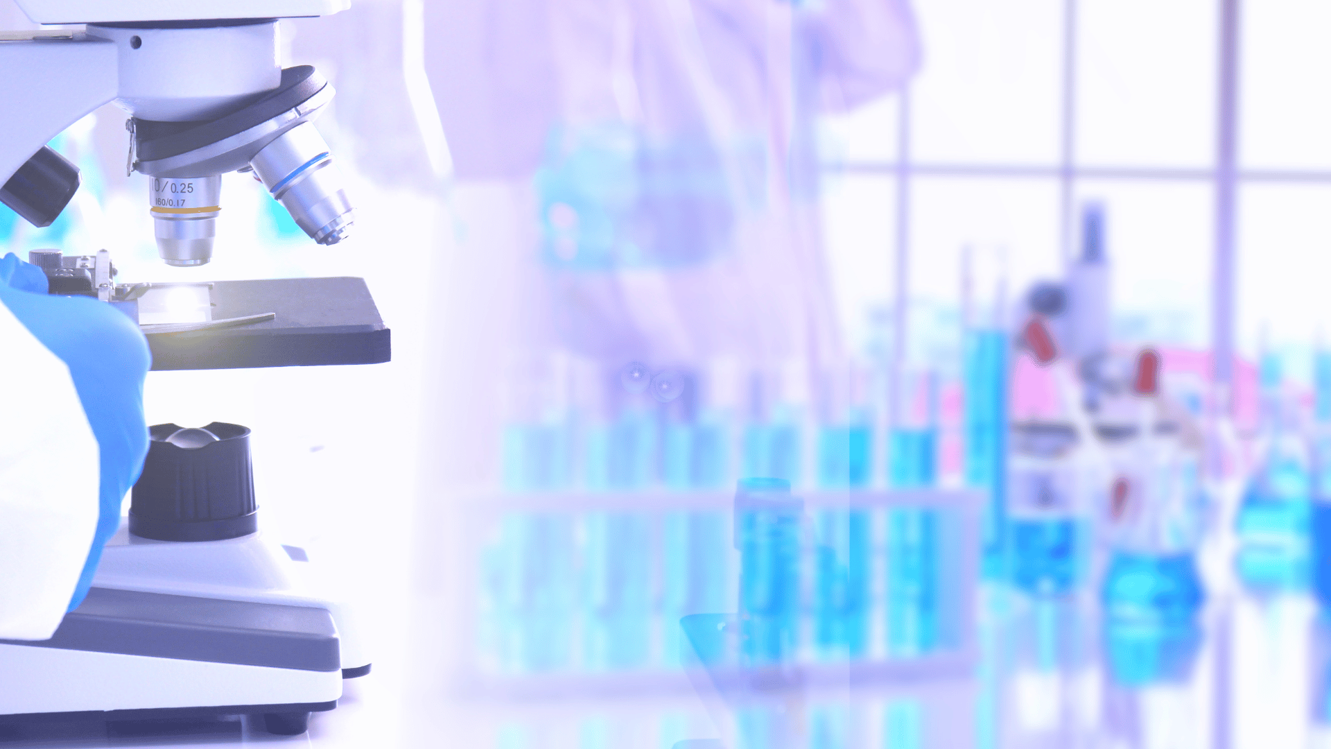 BioAssay - DeltaSoft, Inc.